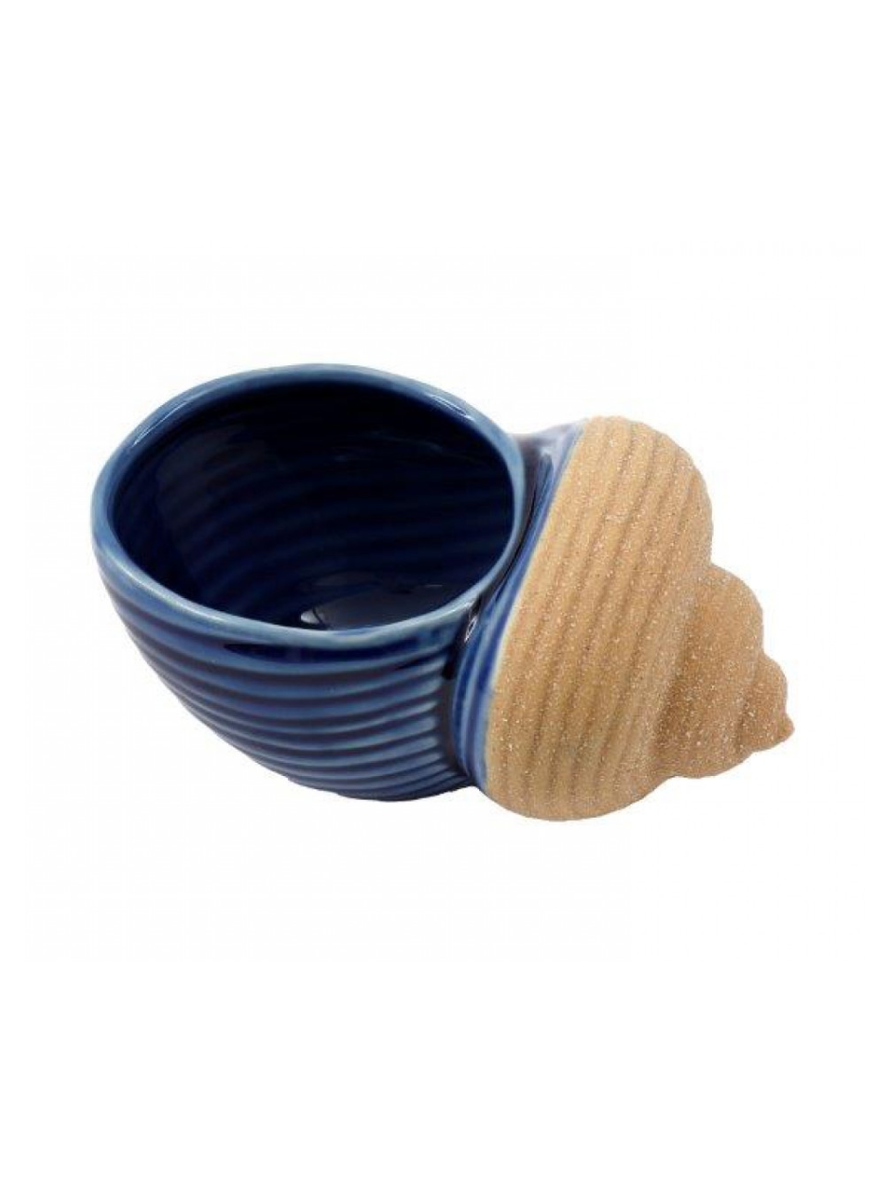 Conch Pot – Scape Interiors